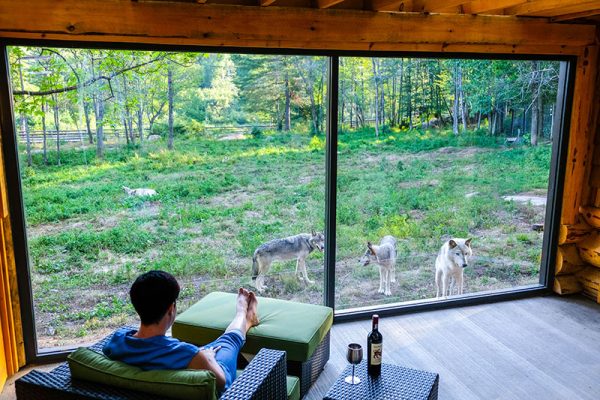 Sleep with the wolves | Parc Omega