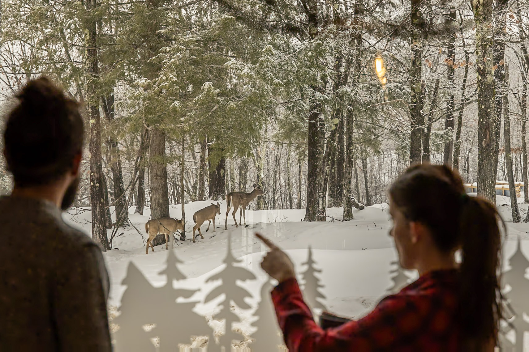 ACCOMMODATIONS – Parc Omega