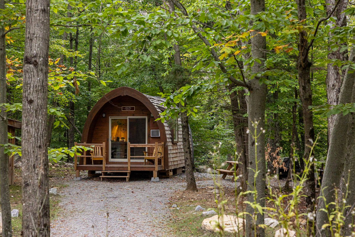 Sleep in our accommodations | Parc Omega