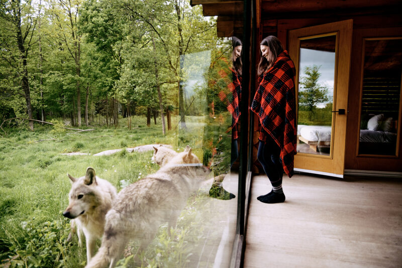 Sleep in our accommodations | Parc Omega