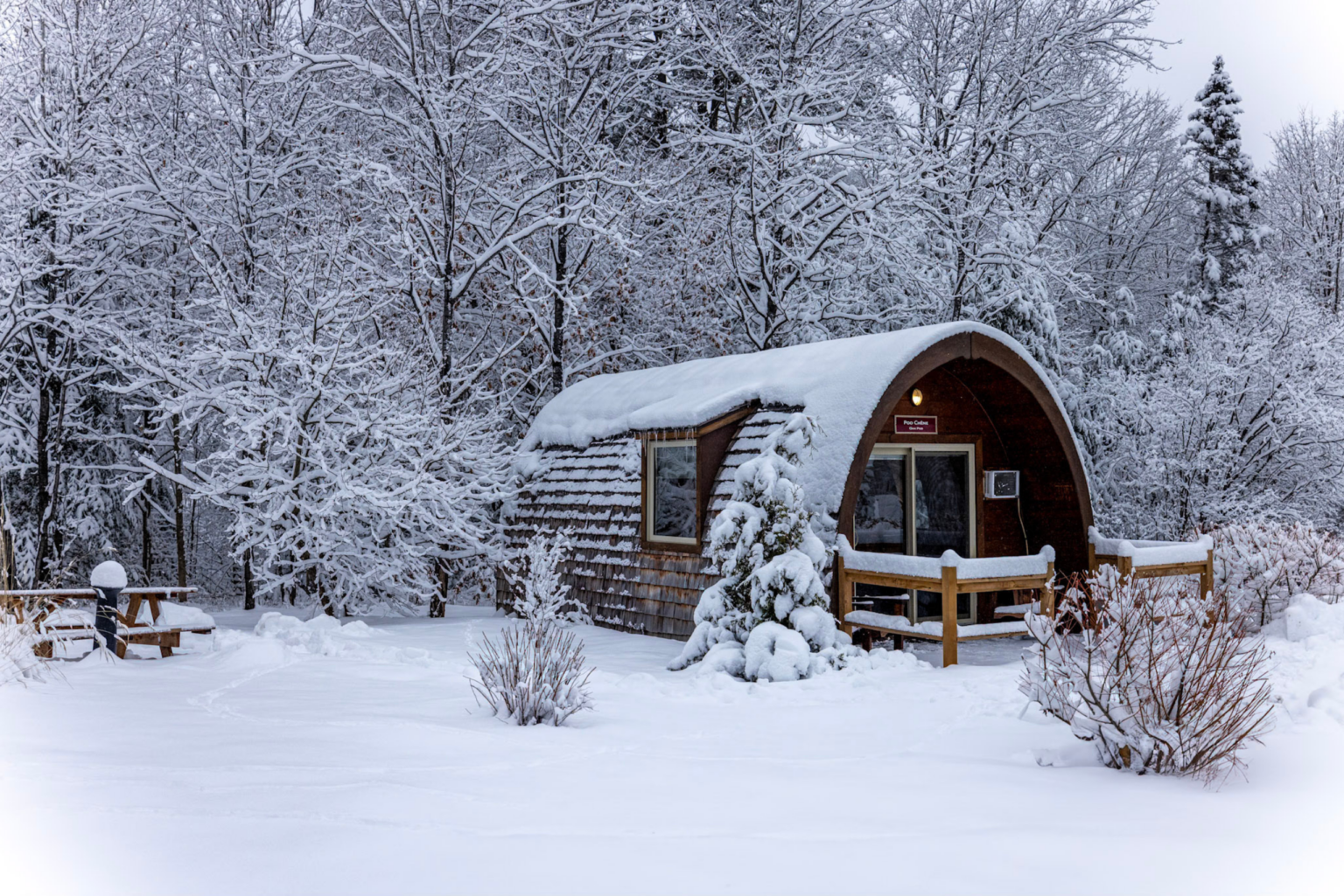 Sleep in our accommodations | Parc Omega