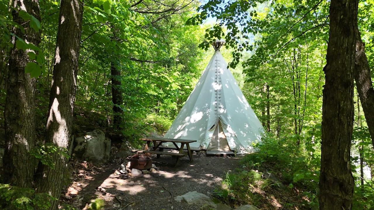 Sleep in our accommodations | Parc Omega